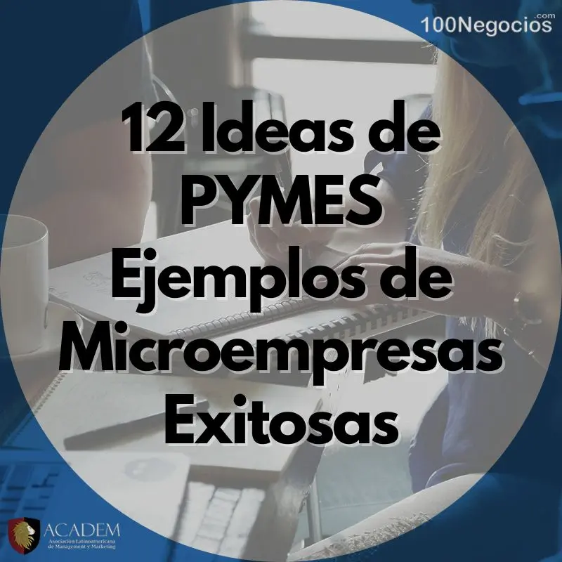 12 Ideas de PYMES Ejemplos de Microempresas Exitosas